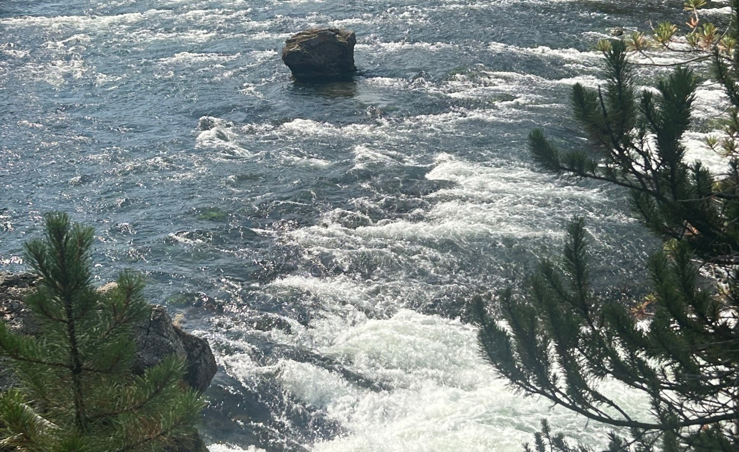 Desires And Dreams! | Take Delight